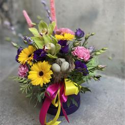 Azalea Flowers Aberdeen - Order Online or Call 01224 625222