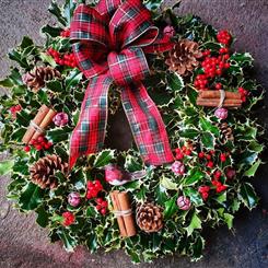 Holly wreath variegated Azalea Flowers Aberdeen Florist